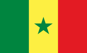 Africa Impact Investing Group